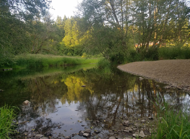 Polyamory Retreat – Loving More Nonprofit